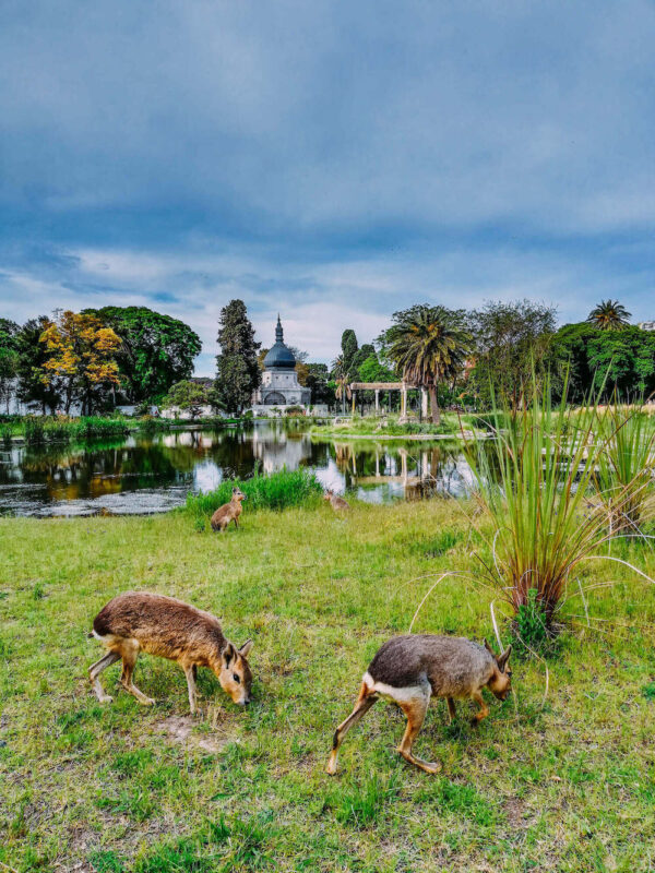 25 Best Things to Do in Buenos Aires - Nomads Unveiled