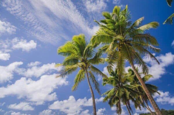 30 Things Florida is Known and Famous For - Nomads Unveiled