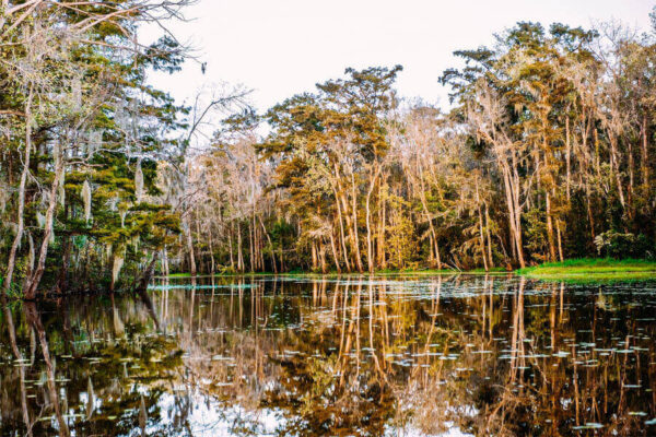 10 Things Louisiana is Known and Famous For - Nomads Unveiled