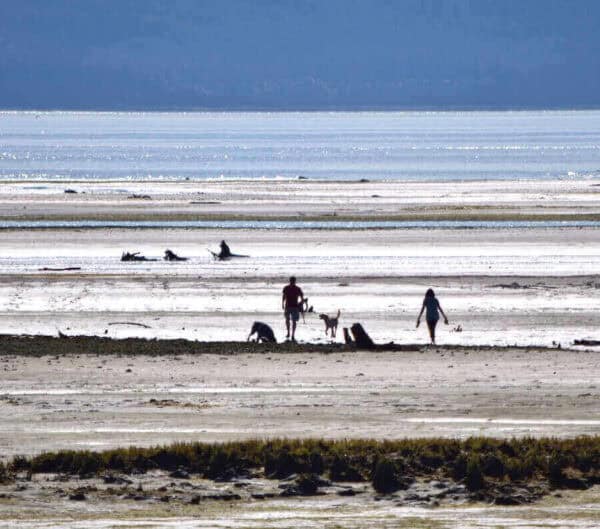 15 Best Beaches In Alaska To Visit - Nomads Unveiled