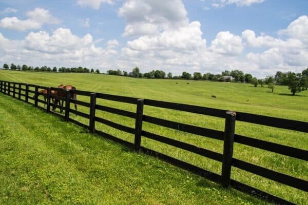 20 Interesting And Fun Facts About Kentucky [Explained]