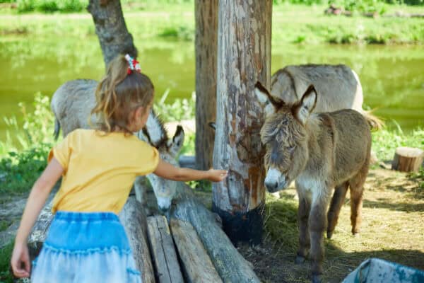 25 Interesting And Fun Facts About Florida [Explained]
