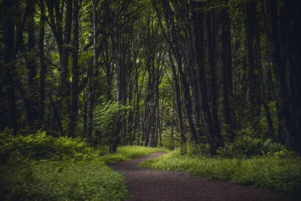 25 Things Portland Is Known And Famous For