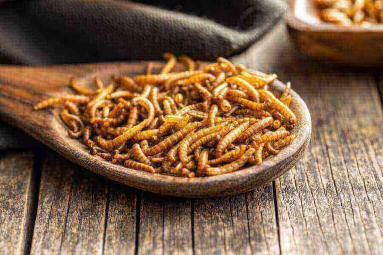 21 Famous And Traditional Zambian Foods To Try
