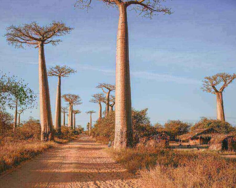 15 Incredible Things Madagascar Is Known And Famous For - Nomads Unveiled