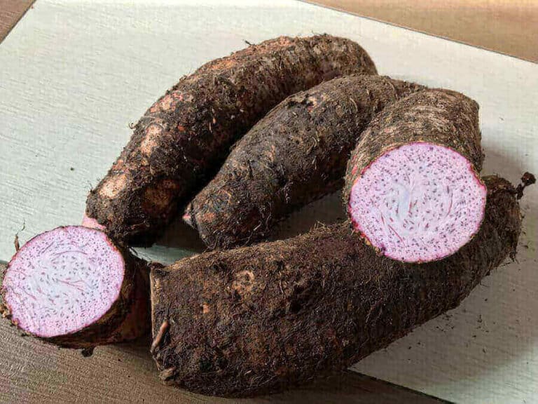 25 Traditional Zimbabwe Food In Zimbabwean Cuisine To Try