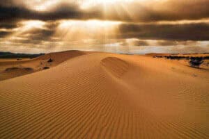 23 Interesting And Fun Facts About Algeria [Explained]