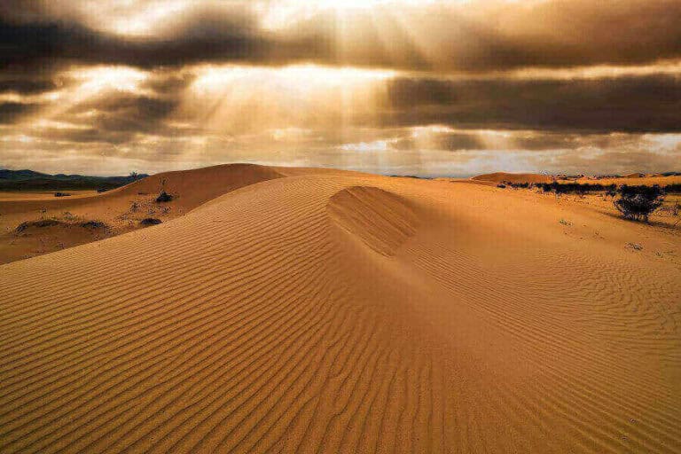 23 Interesting And Fun Facts About Algeria [Explained]