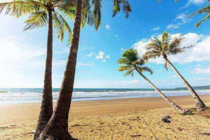 21 Interesting And Fun Facts About Venezuela - Nomads Unveiled
