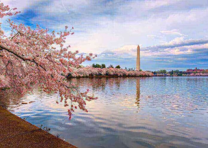 20 Interesting And Fun Facts About Washington DC [Explained]