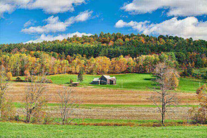 20 Interesting And Fun Facts About Vermont [Explained] - Nomads Unveiled