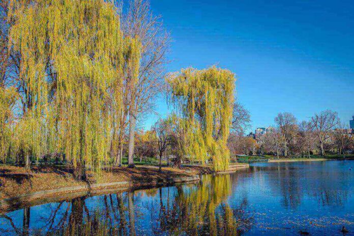 20 Interesting And Fun Facts About Boston MA [Explained]