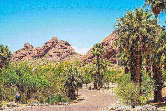 20 Interesting And Fun Facts About Phoenix AZ [Explained]