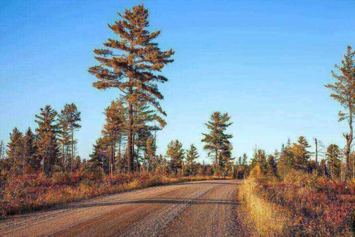 20 Interesting And Fun Facts About Minnesota [Explained]