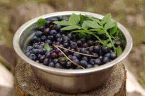 10 Famous Foods In Oregon: Dishes Oregon Is Known For